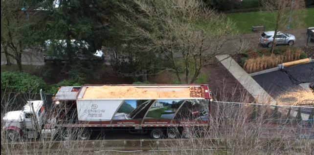Playground Surfacing Are Wood Chips Safe